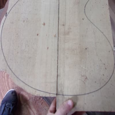 Birdsong Sport bass SUPER SHORT SCALE / "Pocket" bass | Reverb