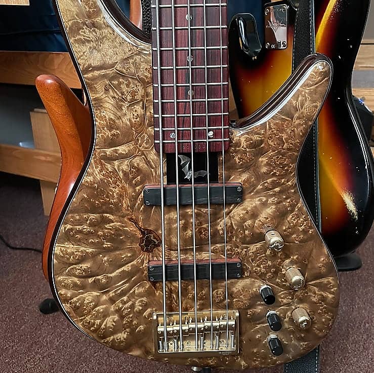 Sugi NB5 1 Piece Golden Camphor Top | Reverb