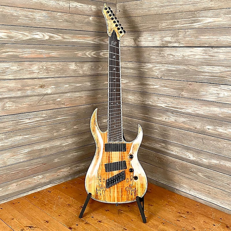 B.C. Rich BC Rich Shredzilla 8 Prophecy Archtop Guitar (0891) | Reverb