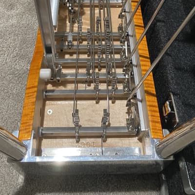 Williams Pedal Steel Guitar 2022 | Reverb