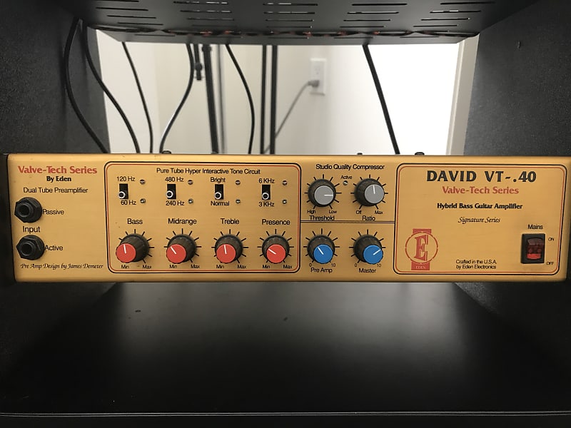 DAVID EDEN VT.40 tube bass head w/ James Demeter preamp and | Reverb