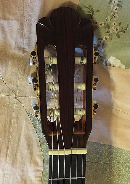 Pavan TP-30-64AC 2007, Cutaway Classical-Electric Guitar, | Reverb