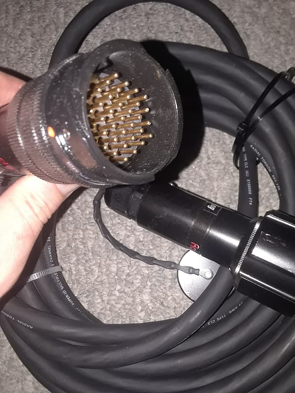 Radial 12 Channel Multi Pin Snake 25 Foot Black brand new | Reverb