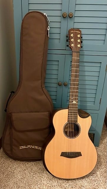 Islander Acoustic Guitar -Solid Spruce Top - Natural (Martin | Reverb