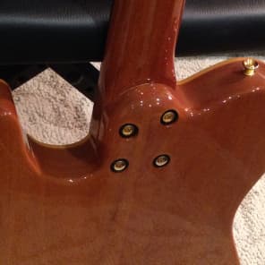 Fernandes P-Project 1998-99 AI-N Nylon Electric-Acoustic | Reverb