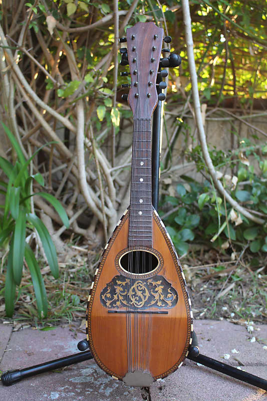 Vintage 1900s Oscar Schmidt 12 String Bowlback Mandolin | Reverb