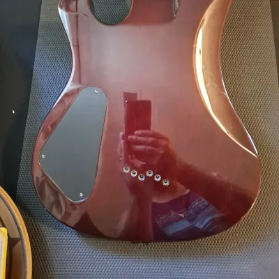 Schecter Terry Corso Signature 006 Elite Natural *RARE* *Hand | Reverb