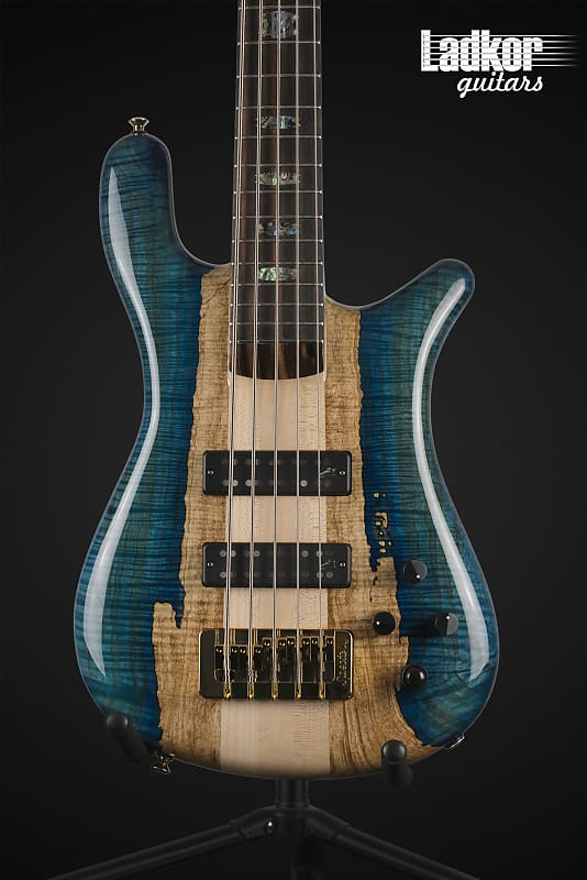 Spector USA NS-5 XL Shoreline Spalted Maple Top Aguilar | Reverb