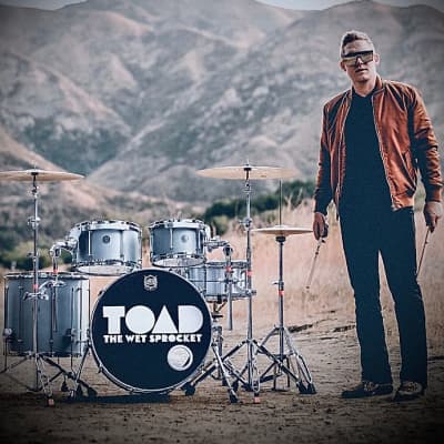 Josh Daubin’s (Toad The Wet Sprocket) Signature DrumPickers | Reverb