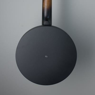 Gold Tone I-AC-6+ Composite Resonator Acoustic-Electric | Reverb