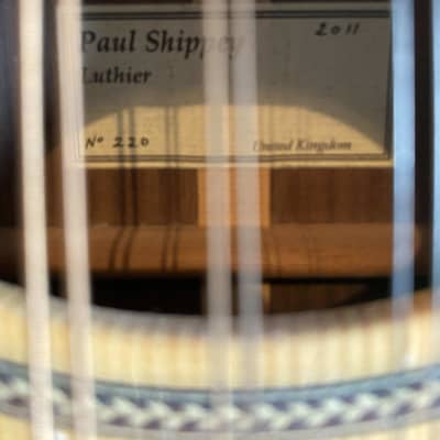 Paul Shippey 10 String Rosewood Mandolin 2011 - natural | Reverb