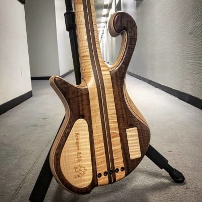 Stunning Shawn May Bass DCS5 Custom 5-String Bass w/ LED's, | Reverb