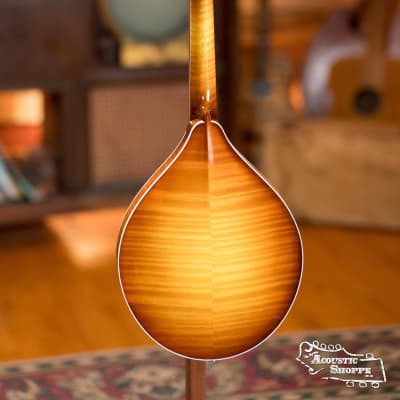 Bulas Carpathian Spruce/Curly Maple Black Top A-Style | Reverb