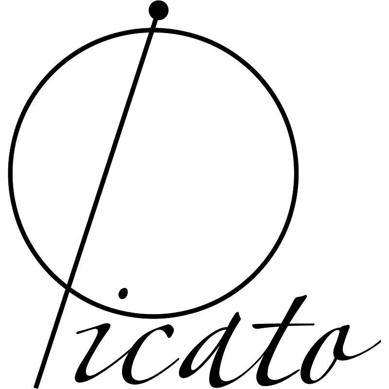 Picato Single Classical Nylon 3rd, G String | Reverb