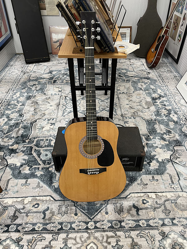 Burswood Guitar Light Brown | Reverb