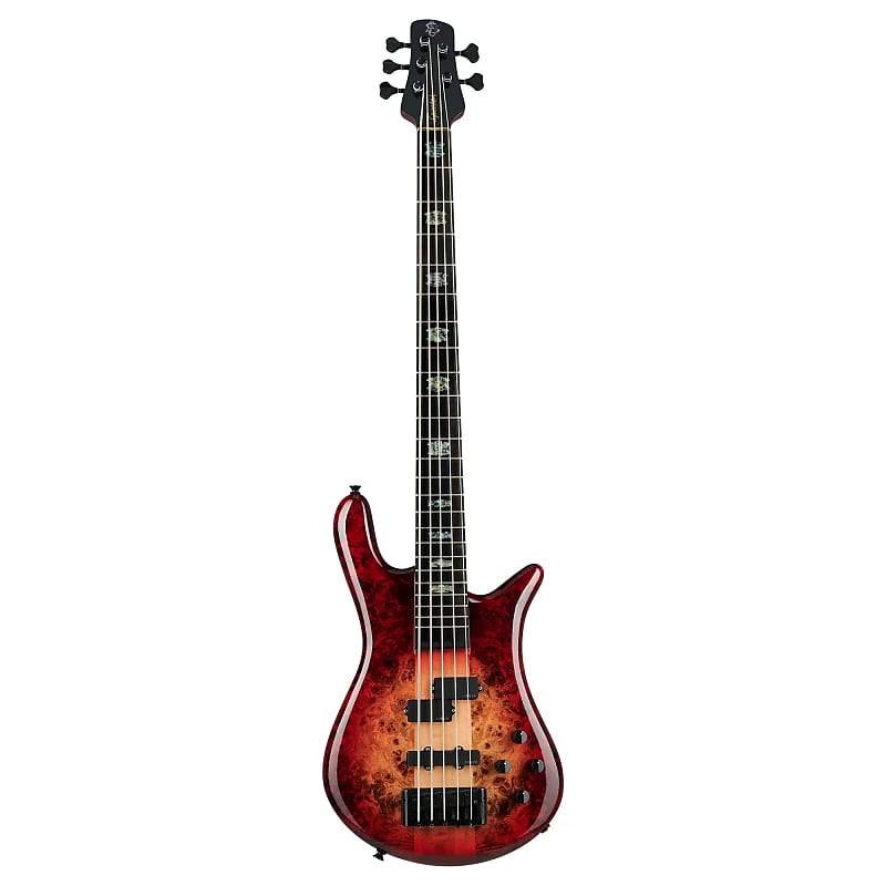 Spector Euro 5 CST Custom 5-String Bass, Ebony Fretboard, | Reverb