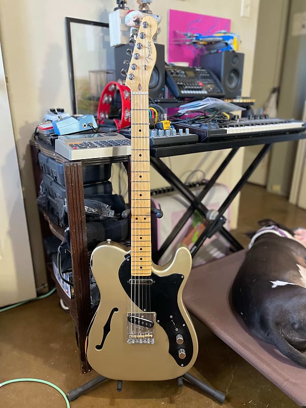 Fender Partscaster Thinline Telecaster | Reverb