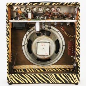 1967 Gregory Tiger - Rare USA Amp with 6973 Power Tubes and | Reverb