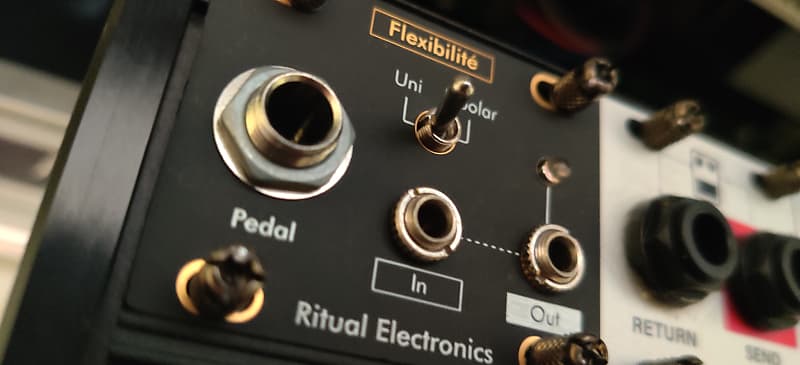 Ritual Electronics Flexibilité | Reverb