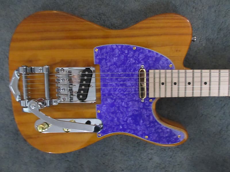 ~Cashner~ TeleCaster-Style w/Whammy | Reverb