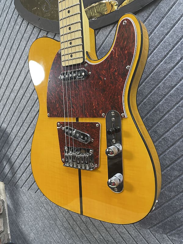 Harley Benton TE-80 NT Deluxe SkunkWerx USA The Better | Reverb