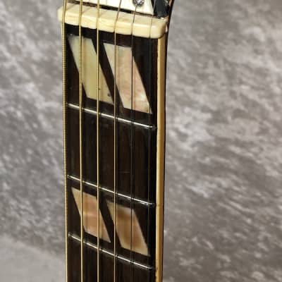 Vintage Alvarez 5024 MIJ acoustic guitar | Reverb