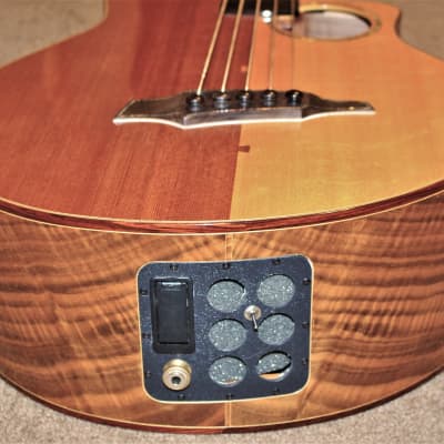 Harry Fleishman 'Dragonfly'. 1995 One of a Kind Acoustic | Reverb