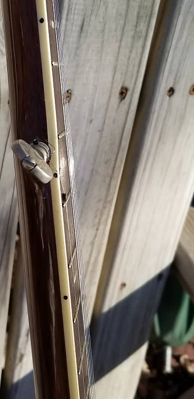 Kasuga 5 string bluegrass banjo vega strings international | Reverb