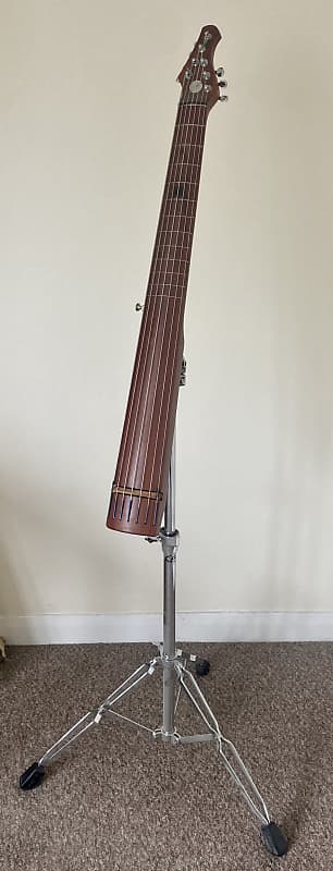 Ergo Instruments Prototype Electric Bass Viol | Reverb