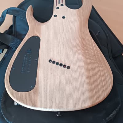 Overload Custom Guitars Raijin 6 multiscale fanfrets | Reverb