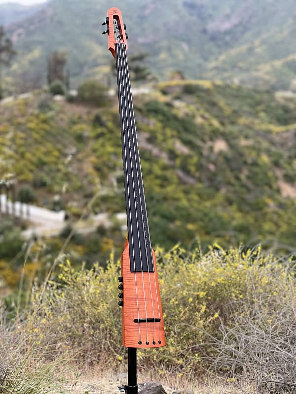 NS Design CR4 2007 Electric Upright Bass | Reverb