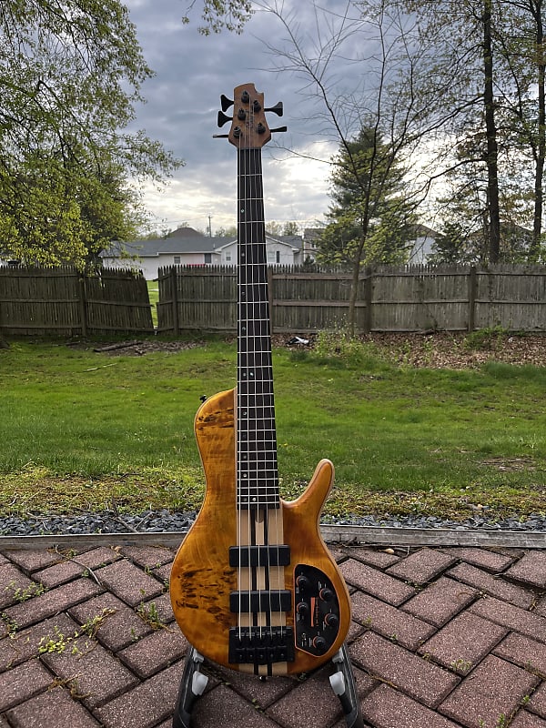 Cort A5 Plus Singlecut | Reverb