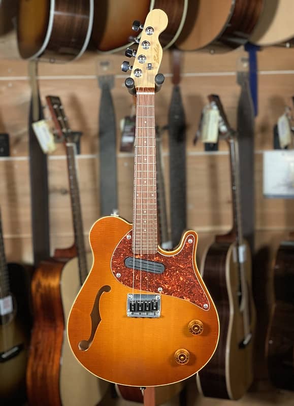 (Used) Terry Bales Rare Sunburst Handcrafted Electric | Reverb