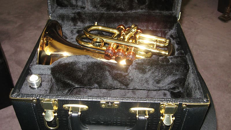 Taylor / Carolbrass Phat Puppy Pocket Flugelhorn | Reverb