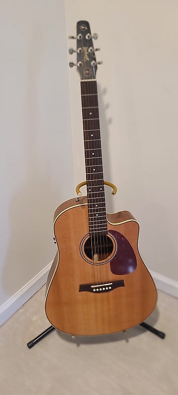 Seagull Sws - Natural | Reverb