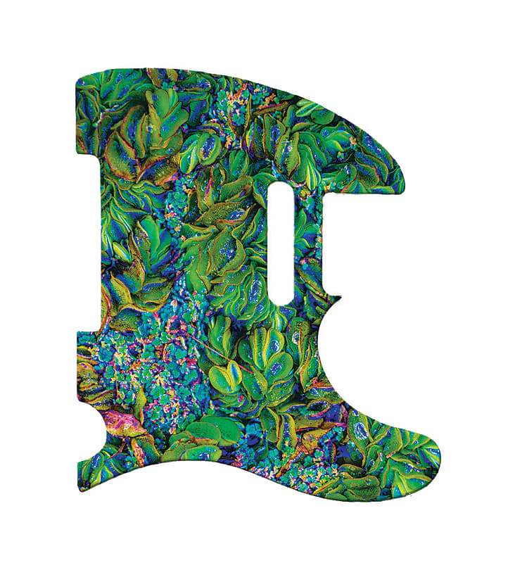 Custom Pickguards Plant Life Fender Telecaster 2021 Graphic | Reverb