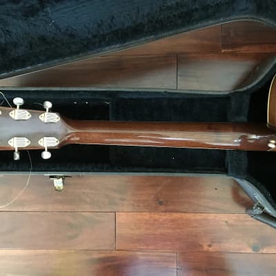 Taylor Taylor Dan Crary Signature DCSM 1988 | Reverb