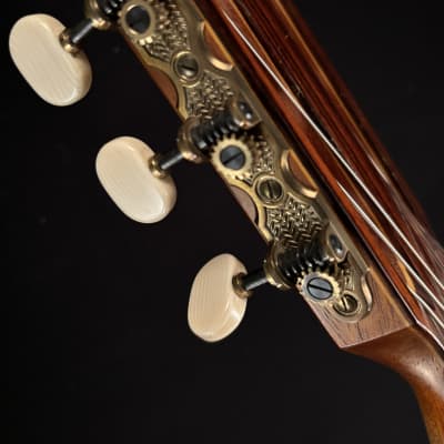 1989 David Daily Classical Guitar #93 | Reverb