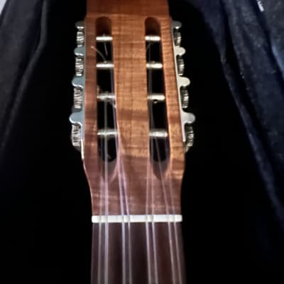 Pete Howlett 8 String 1999 - semi gloss | Reverb