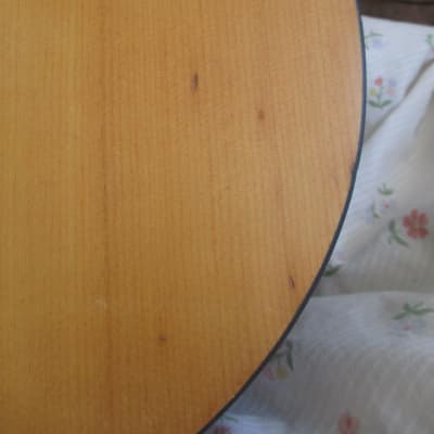 SaeHan Sunghan Korea (Vester) acoustic dreadnought guitar | Reverb