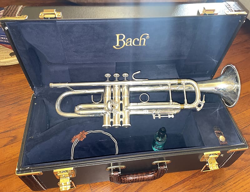 Bach Stradivarius ★ 43 Bell 2022 | Reverb
