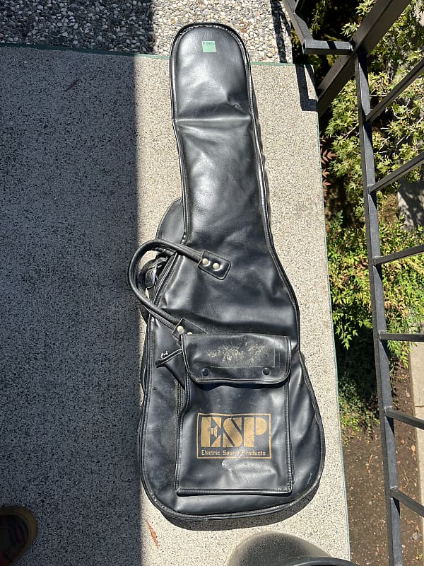 ESP Gig Bag 1990’s - Black Leather | Reverb