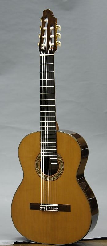 Asturias 7-String 2025 | Reverb Canada