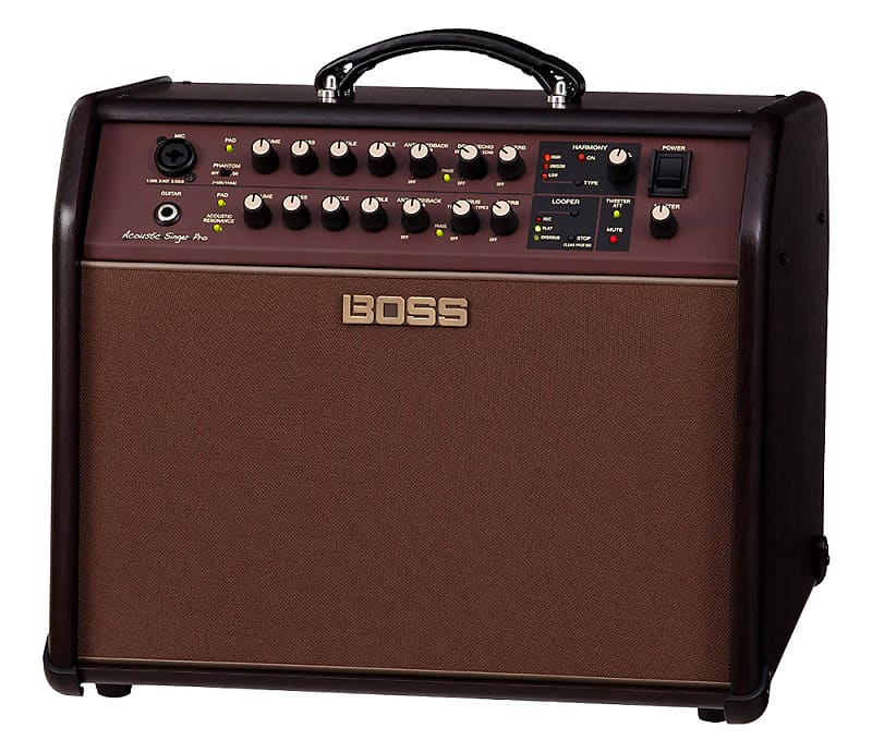 Acoustic Singer Pro Boss | Reverb
