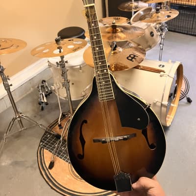 SAMICK banjos, koto, mandolins, zither, acoustic guitars, bass guitars ...