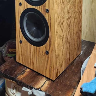 Infinity Crescendo CS-3007 Mid-90s - Oak veneer w/ hardwax | Reverb