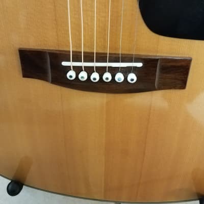 RARE Samick SW 210CE Artist Series 1995 | Reverb