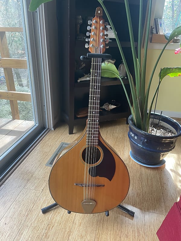 Foley Cittern 1980s, I bet - Nitro | Reverb