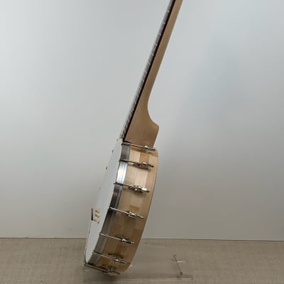 Songbird Stringed Instruments Model 20 Luthier built | Reverb