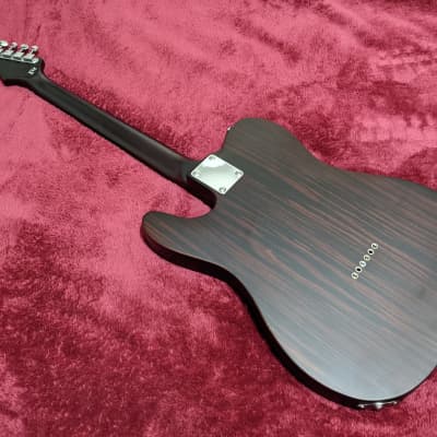 Zuwei Rosewood Telecaster | Reverb